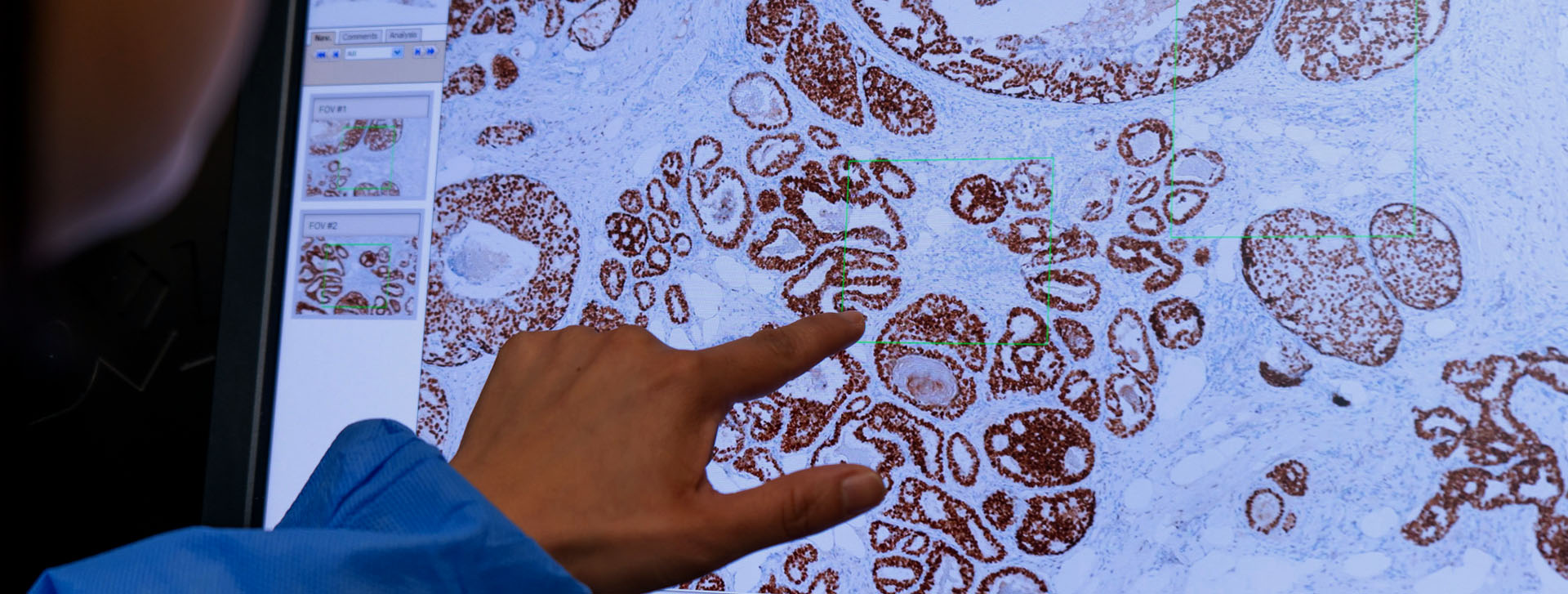 Integrated Pathology Services PR – Quality Matters. Follow our Path.