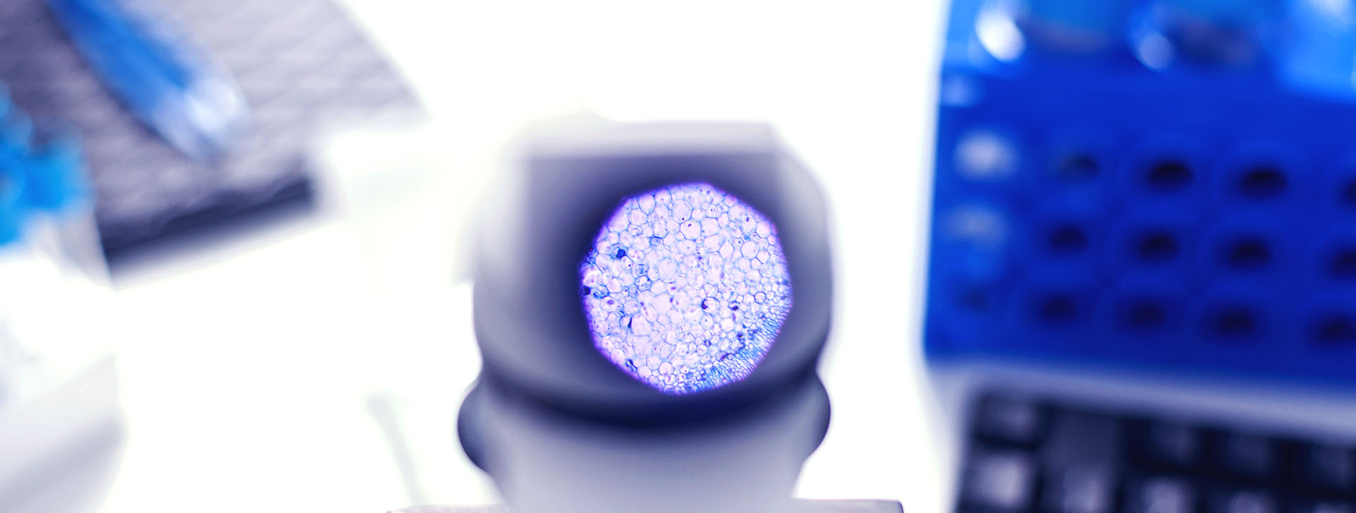 Integrated Pathology Services PR – Quality Matters. Follow our Path.